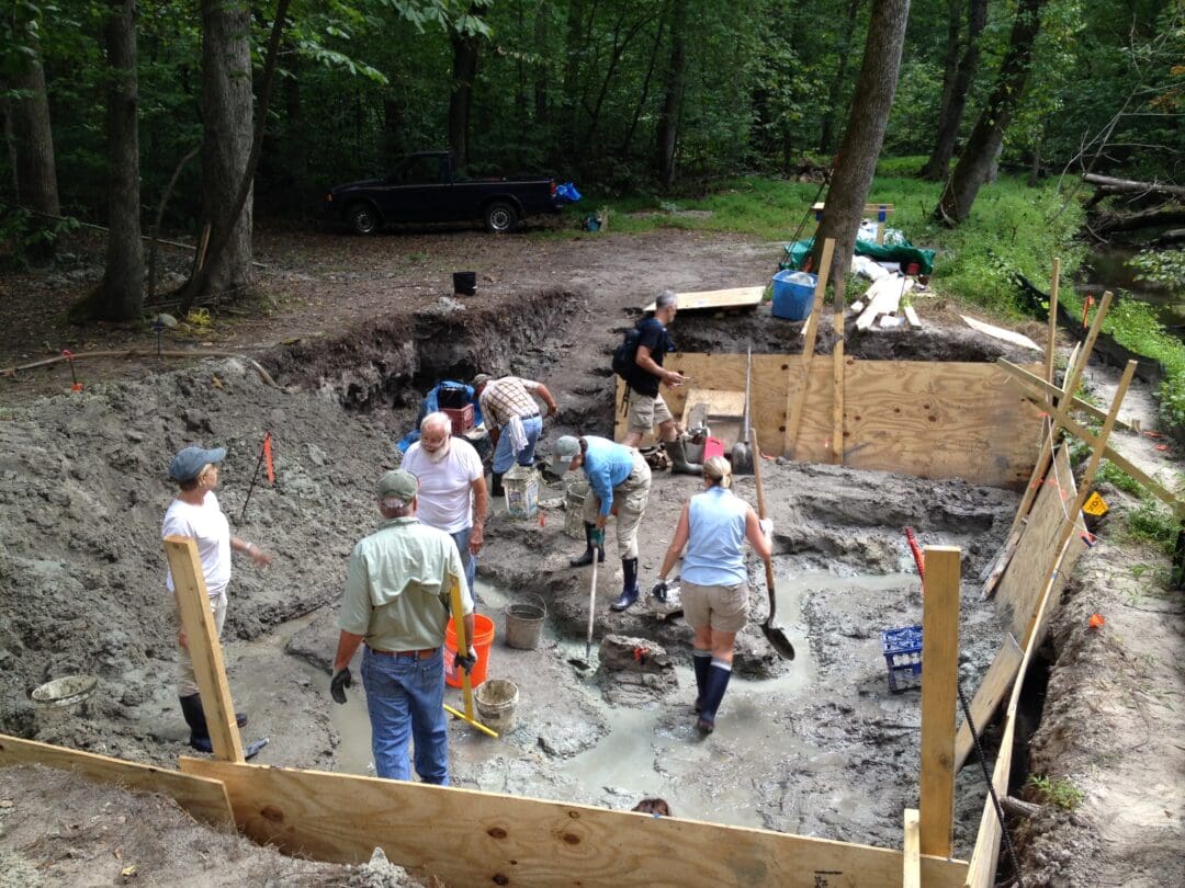 The Mystery of the Hart-Fiscella Mastodon | Virginia Living Museum