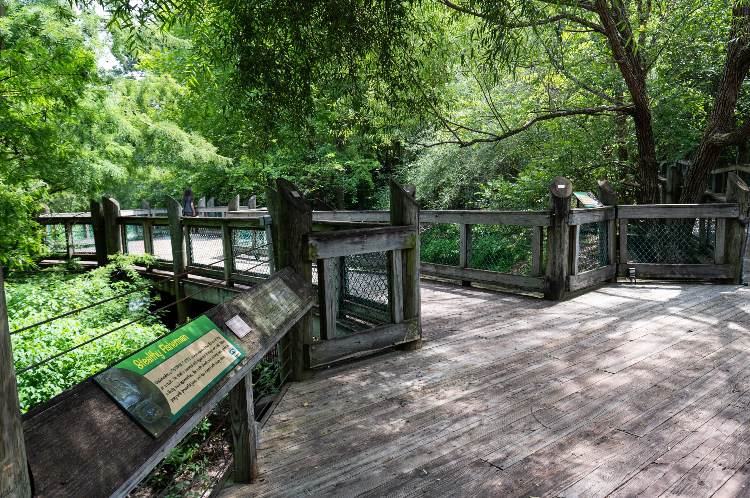 Outdoor Boardwalk Trail | Virginia Living Museum