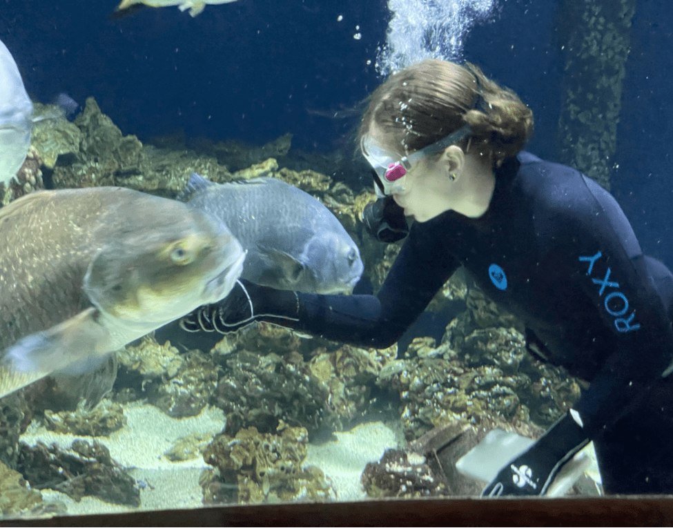 Keeping Life Wild: How Variety Leads to Animal Well-Being