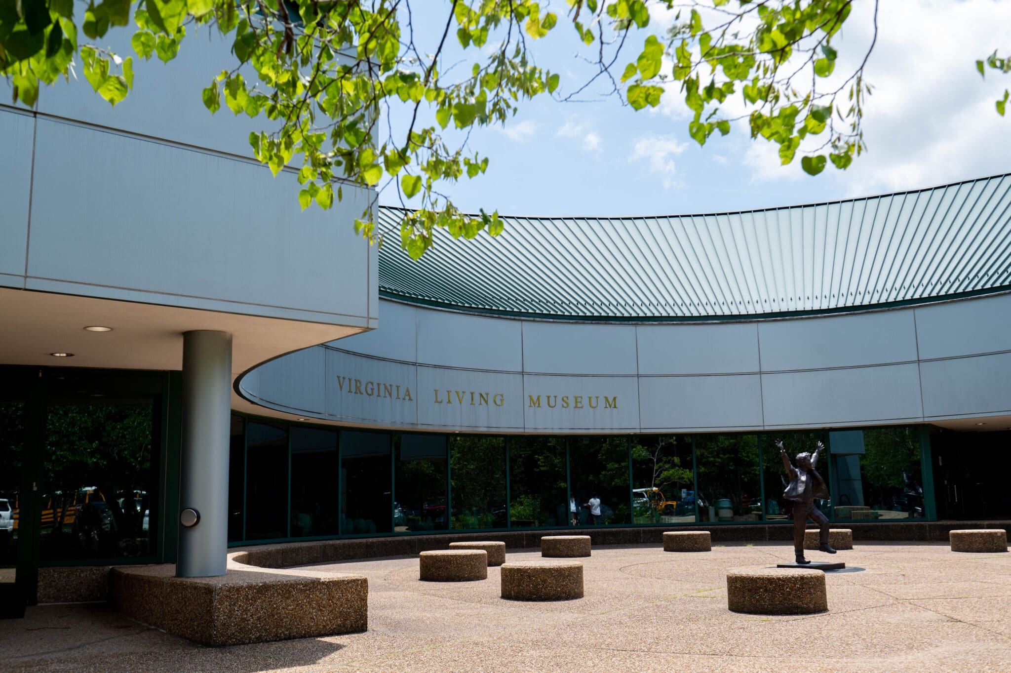 Striped Skunk | Virginia Living Museum