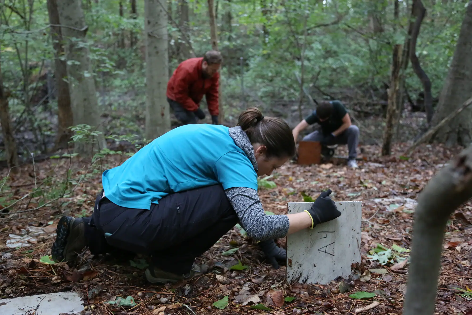 Clean the Bay Day – Chesapeake Bay Foundation | Virginia Living Museum
