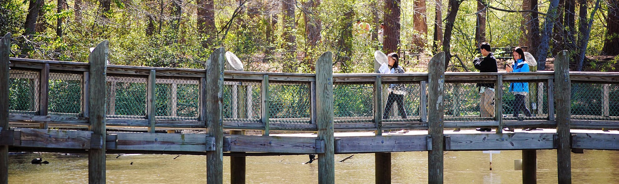 Outdoor Boardwalk Trail | Virginia Living Museum