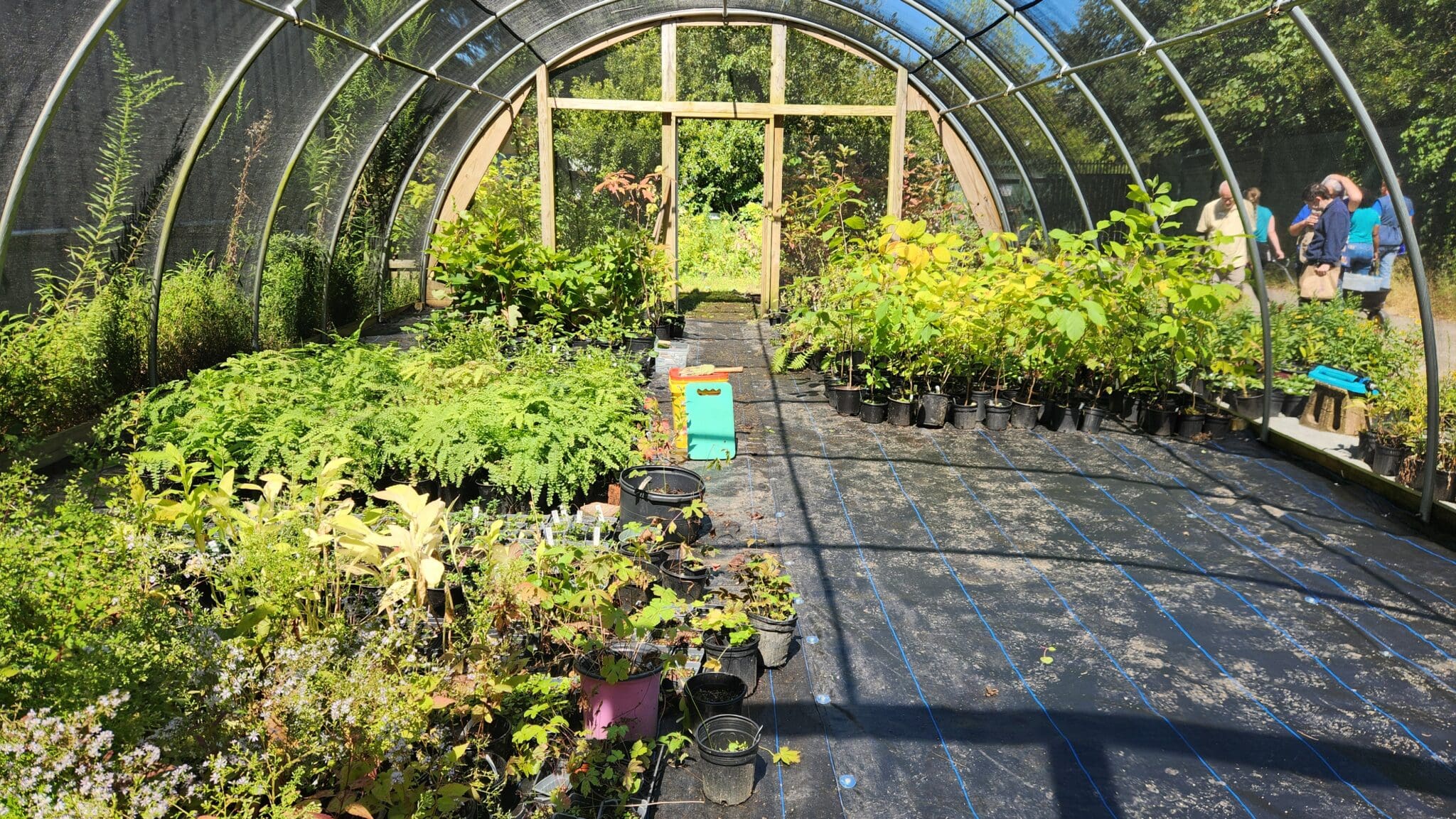 Inside the Native Plant Nursery at the Virginia Living Museum ...