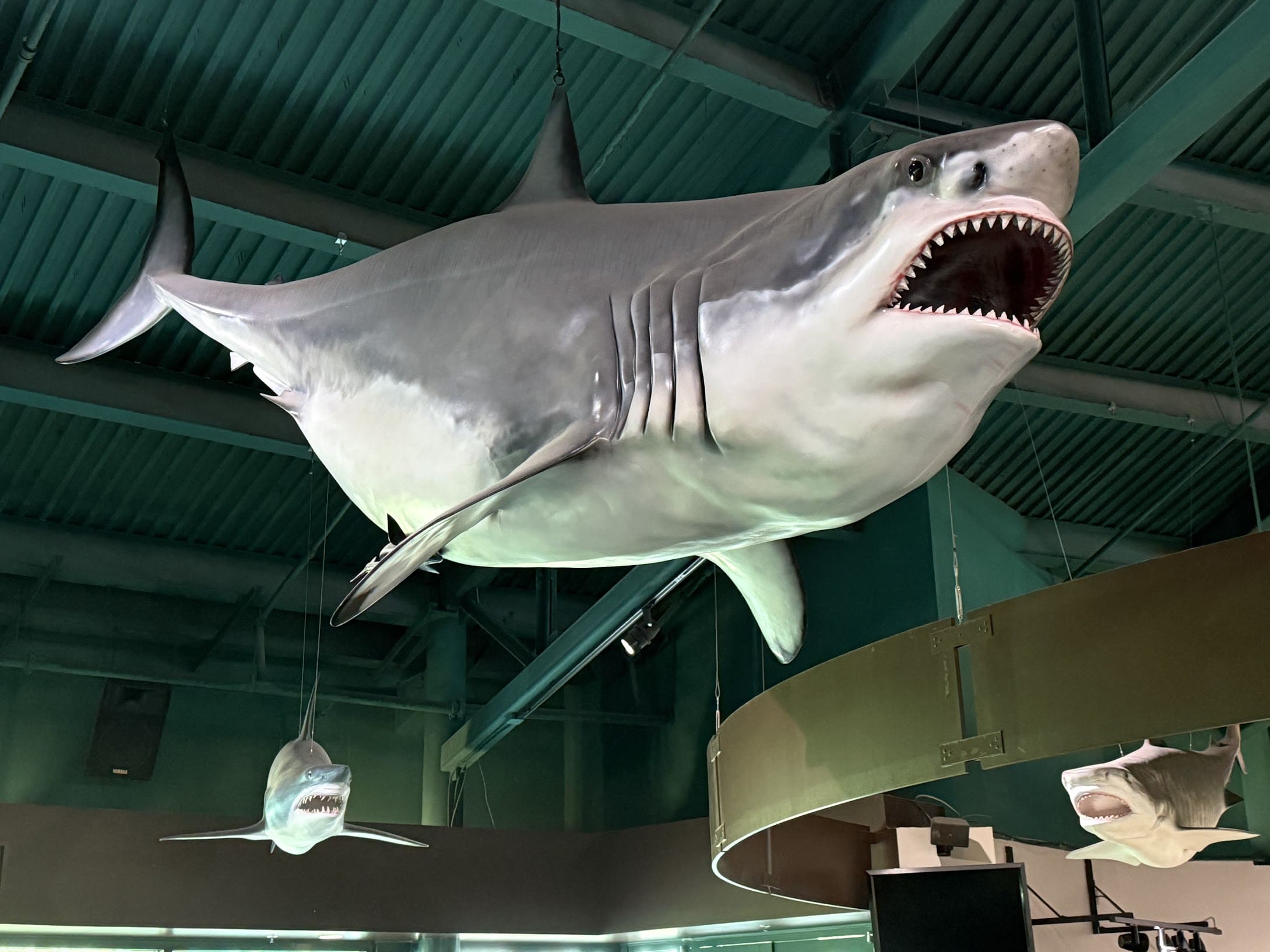 Dinosaur Quest | Virginia Living Museum