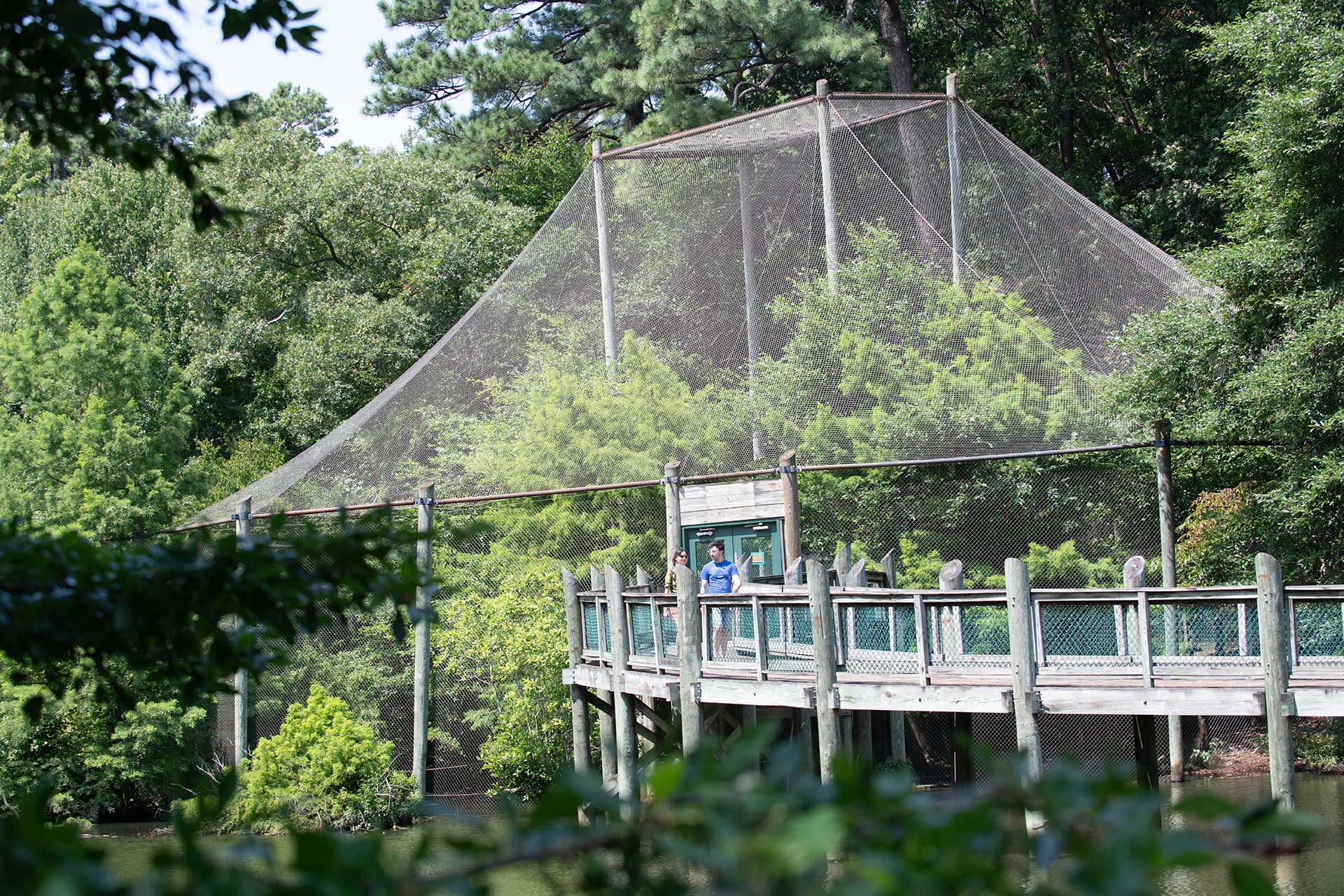 Outdoor Boardwalk Trail | Virginia Living Museum